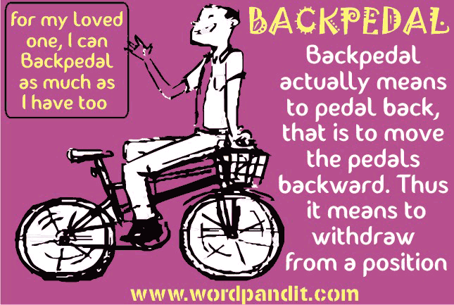 backpedal - Wordpandit