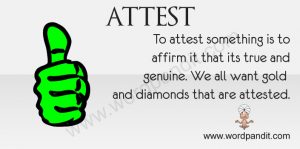 Meaning of Attest
