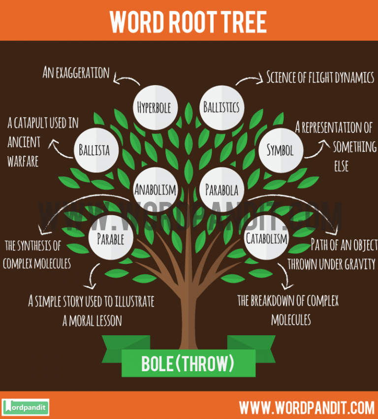 Learn Words based on Bole Root Word and improve your vocabulary