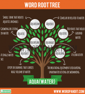 Know about Aqua Root word and words based on this Root Aqua