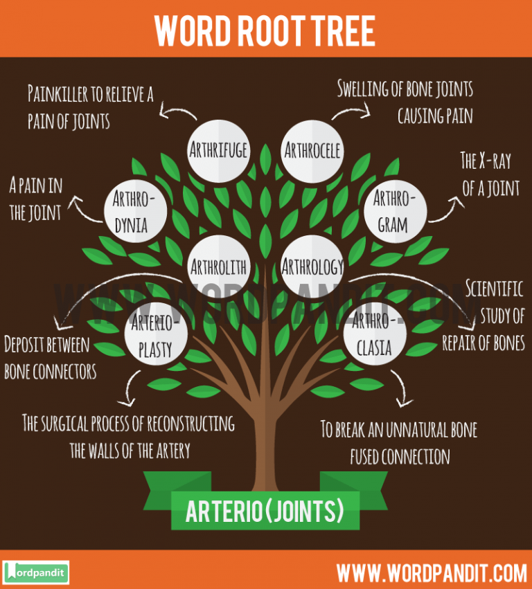 List Of Words Based OnArterio Root Wordwith Their Meaning list-of-words-based-onarterio-root-wordwith-their-meaning