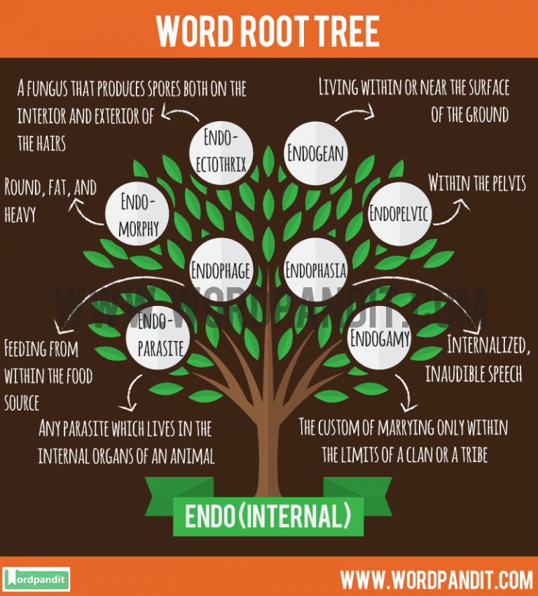 Meaning Definition Of End o Root Word And Words Based On End o Meaning Definition Of End o Root Word And Words Based On End o