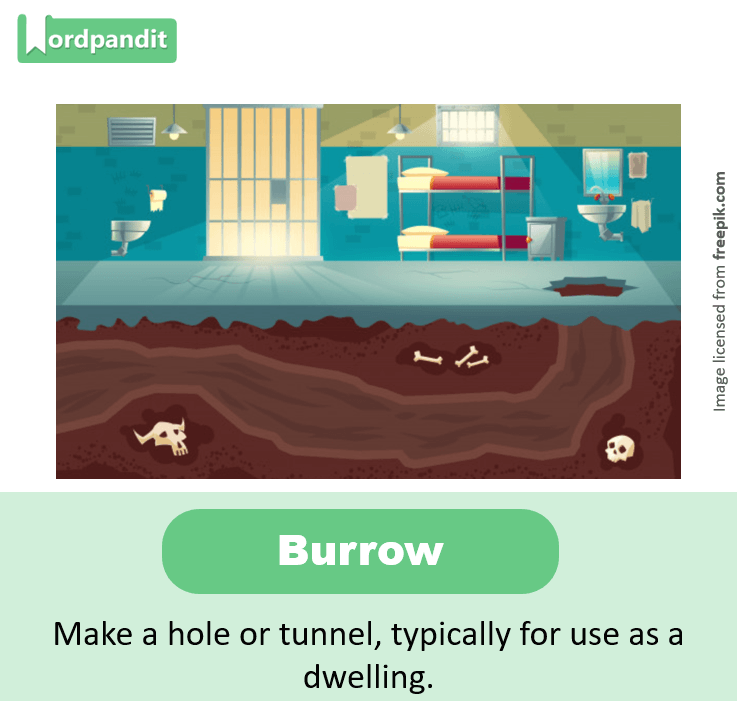 Daily Vocabulary from The Hindu: July 7, 2019 | Wordpandit