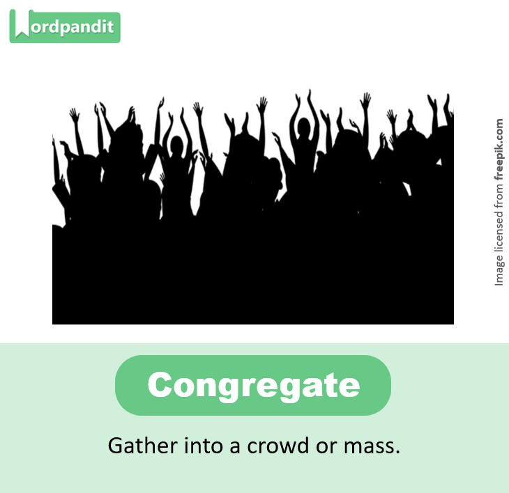 Daily Vocabulary from The Hindu: July 7, 2019 | Wordpandit