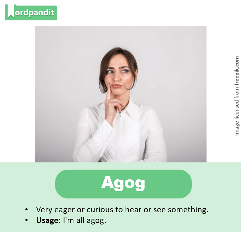 Daily Vocabulary from The Hindu: July 16, 2019 - Wordpandit