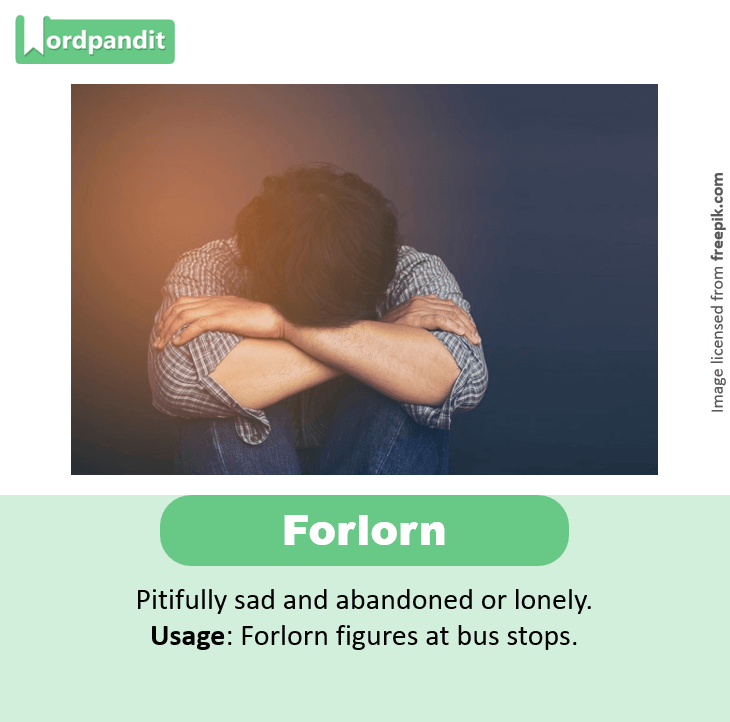 Daily Vocabulary from The Hindu: October 21, 2019 - Wordpandit