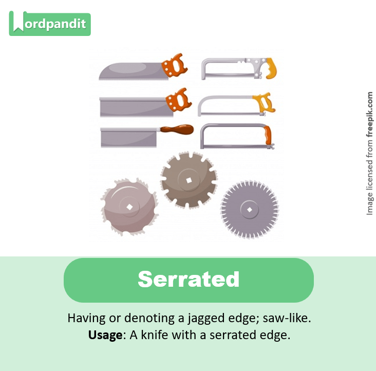 Daily Vocabulary from The Hindu: October 21, 2019 - Wordpandit